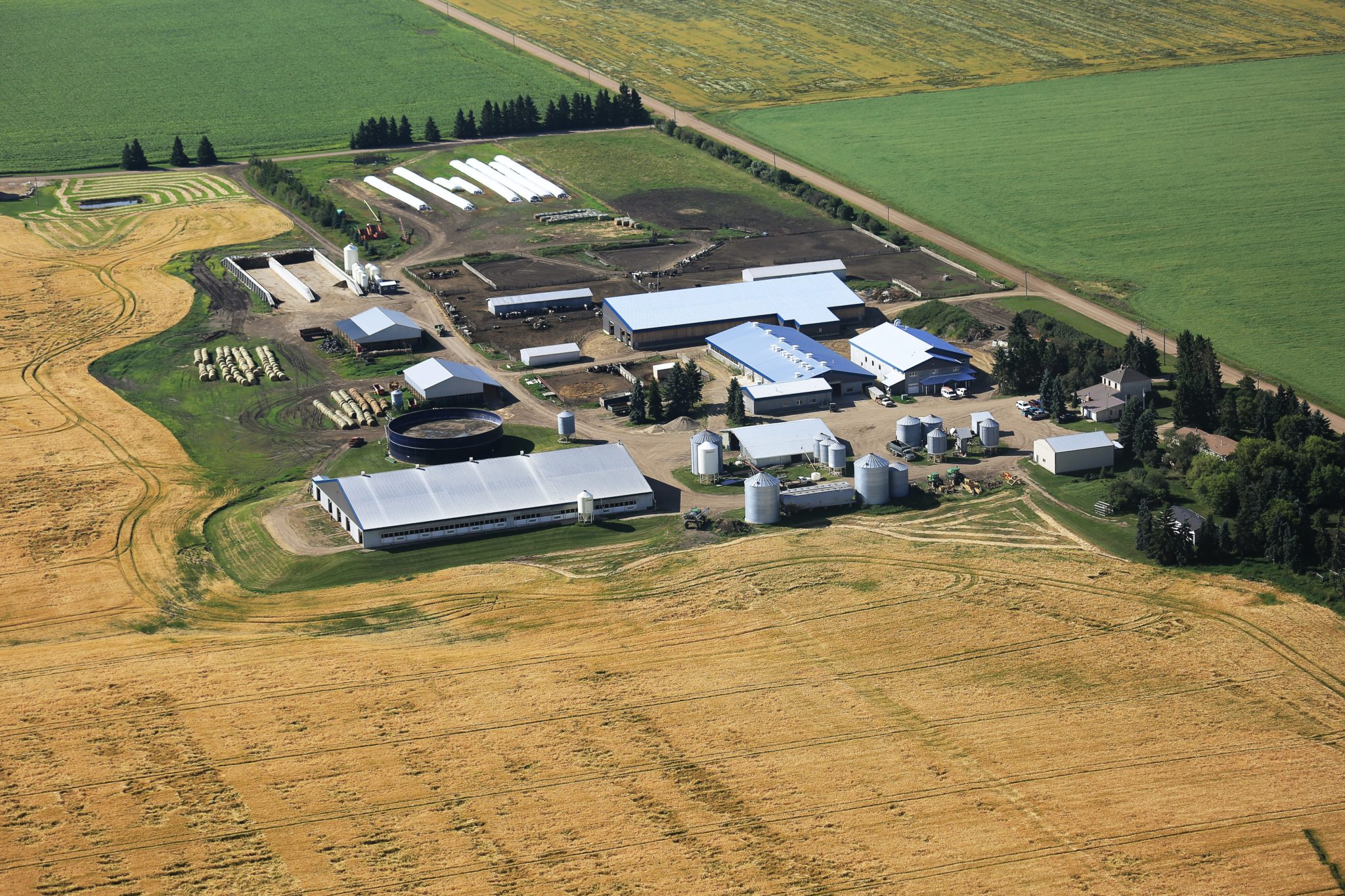 The Farm - Lakeside Farmstead